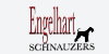 dj.englehart : ses chiens et autres animaux