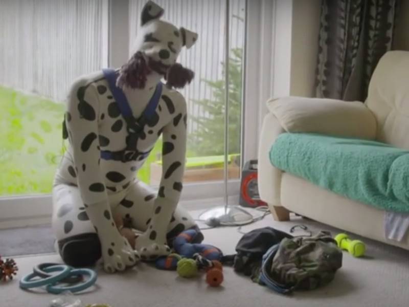 Human pups, une vie qui a du chien (vidéo)