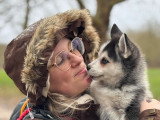 À Travers Ton Regard - Promeneur de chien (dog walker) à Gretz ...